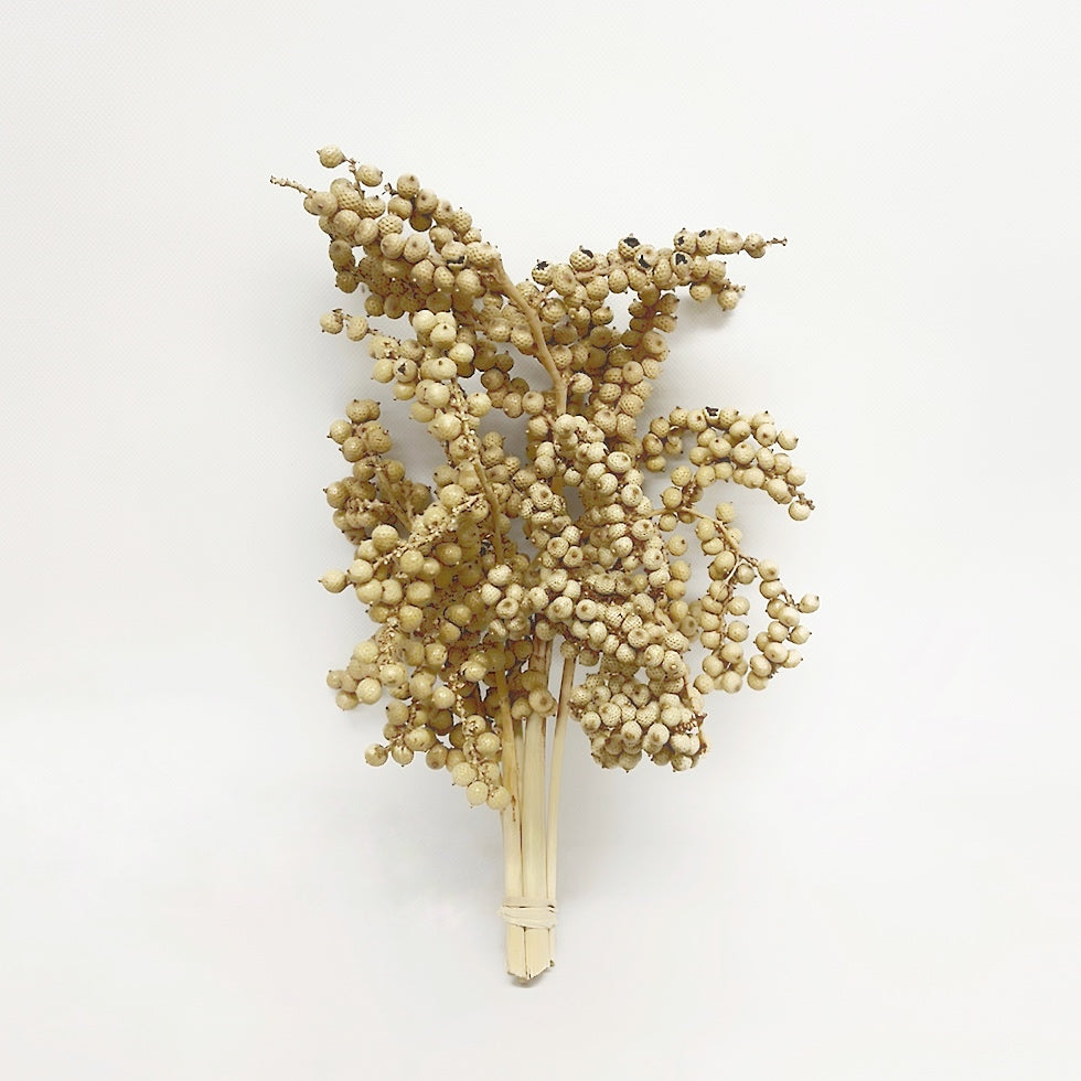 Dried Canella Berries Bouquet – VanCortlandt Farms